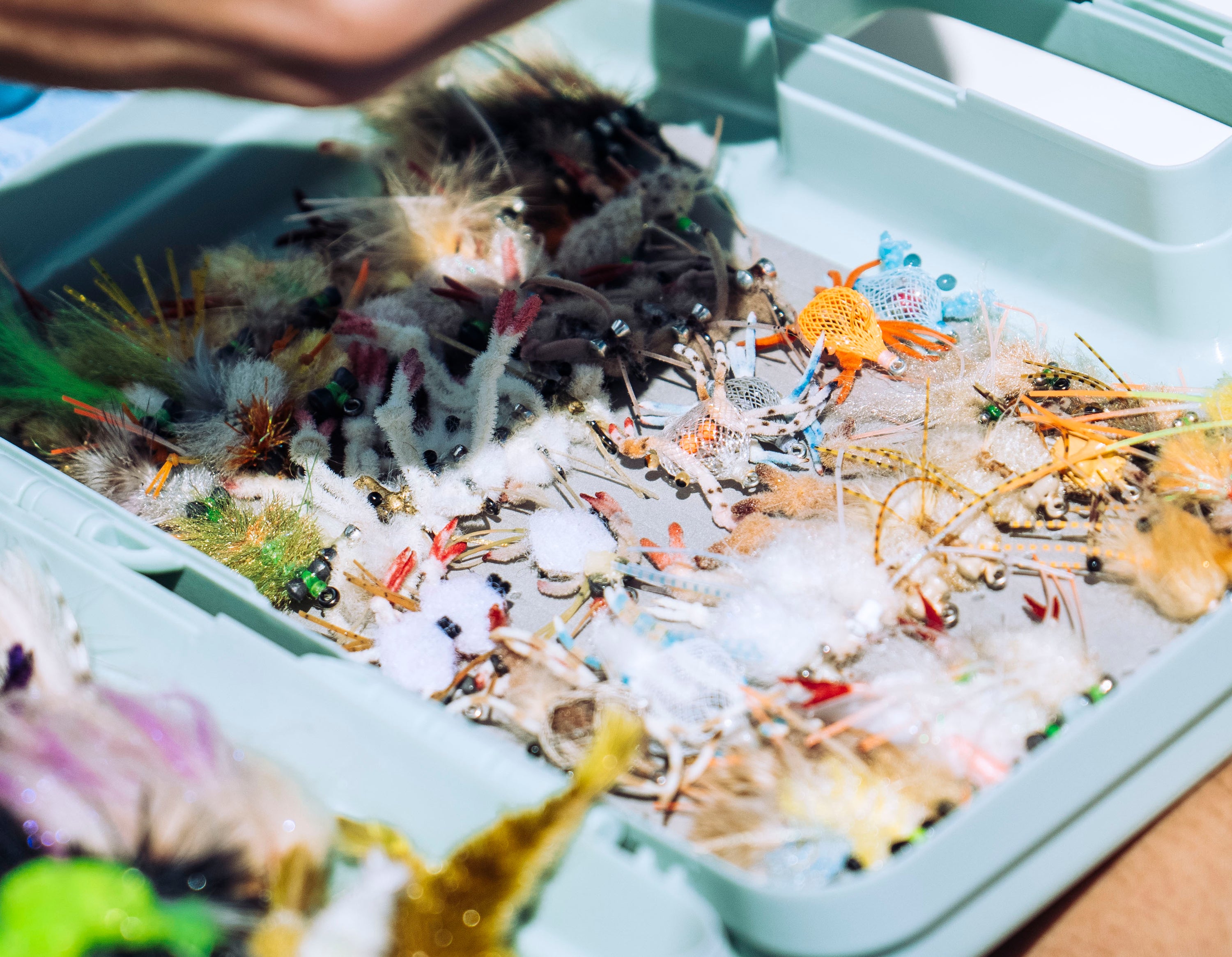 The Cautionary Tale... | Fish Hippie